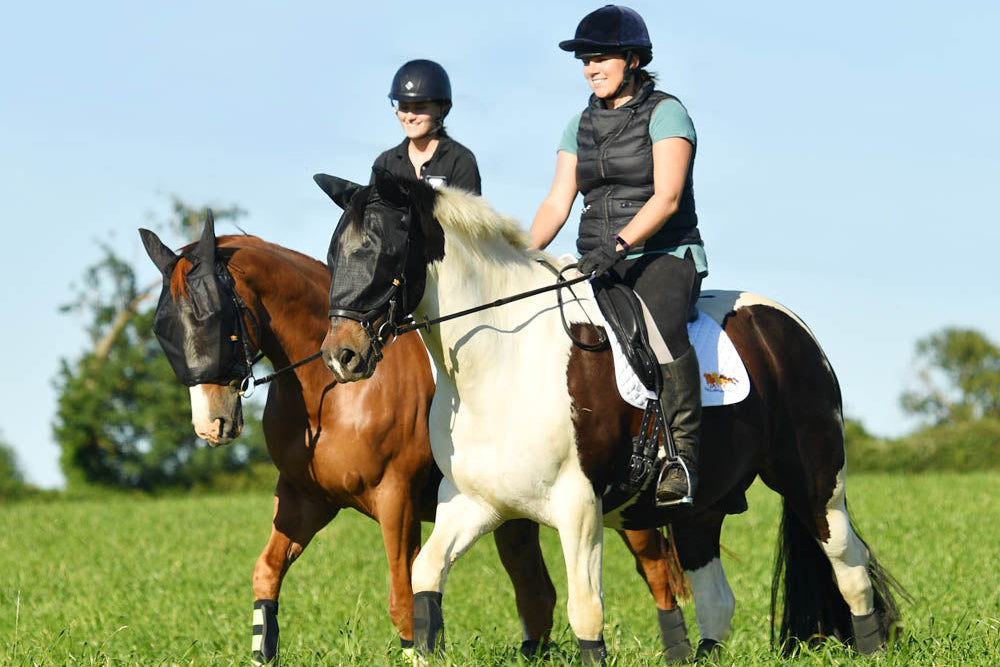 Elite Equine